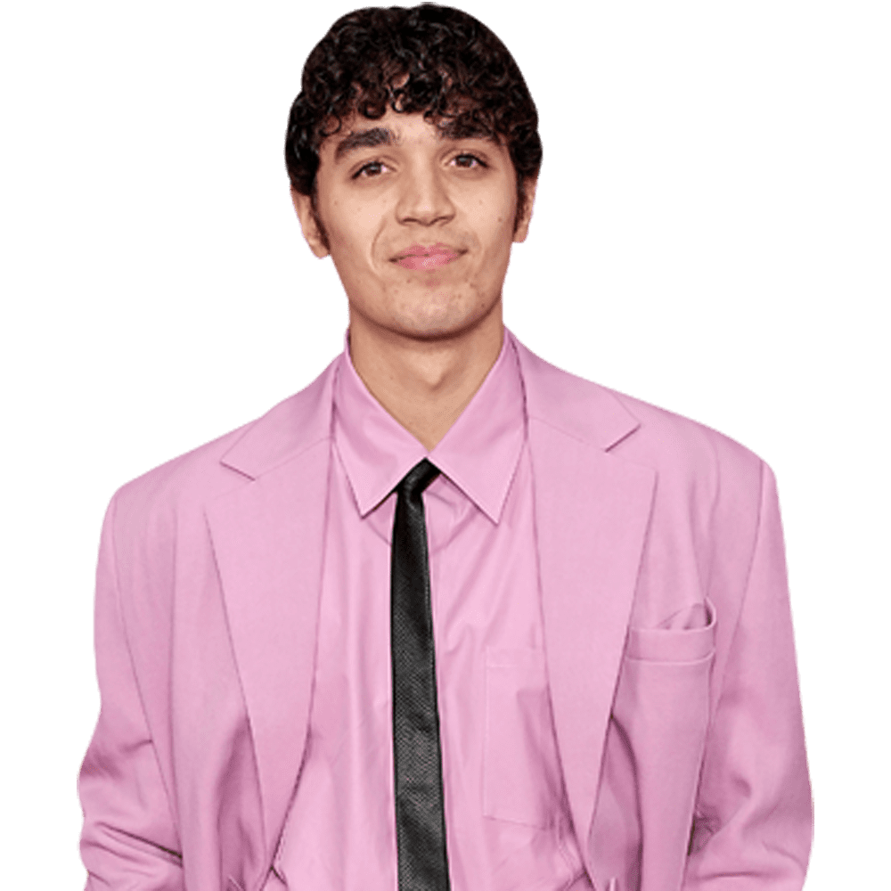 David Iacono (Pink Suit) Half Body Buddy Cutout - Walmart.com