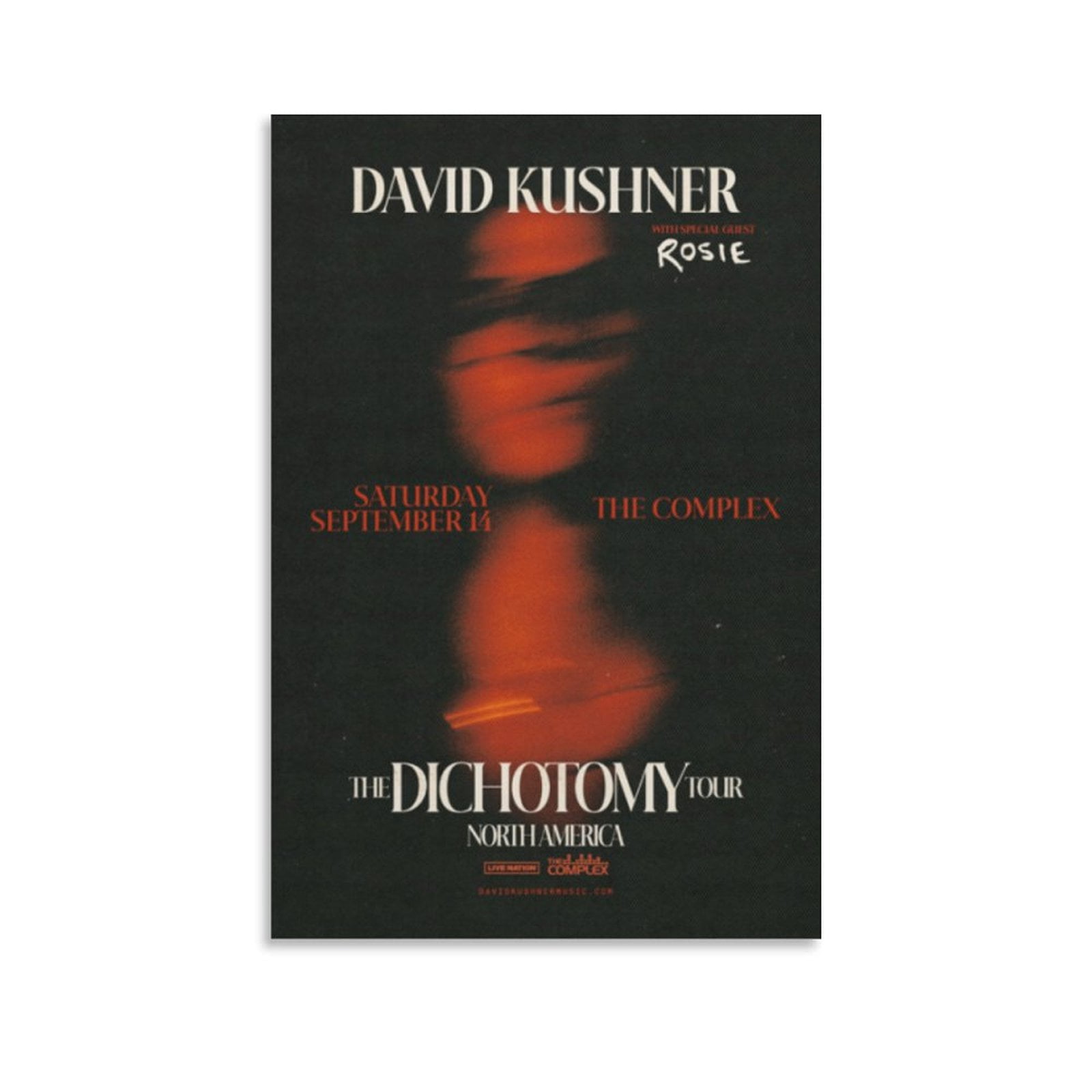 David Kushner Poster Album-The Dichotomy Canvas Poster Picture Print ...