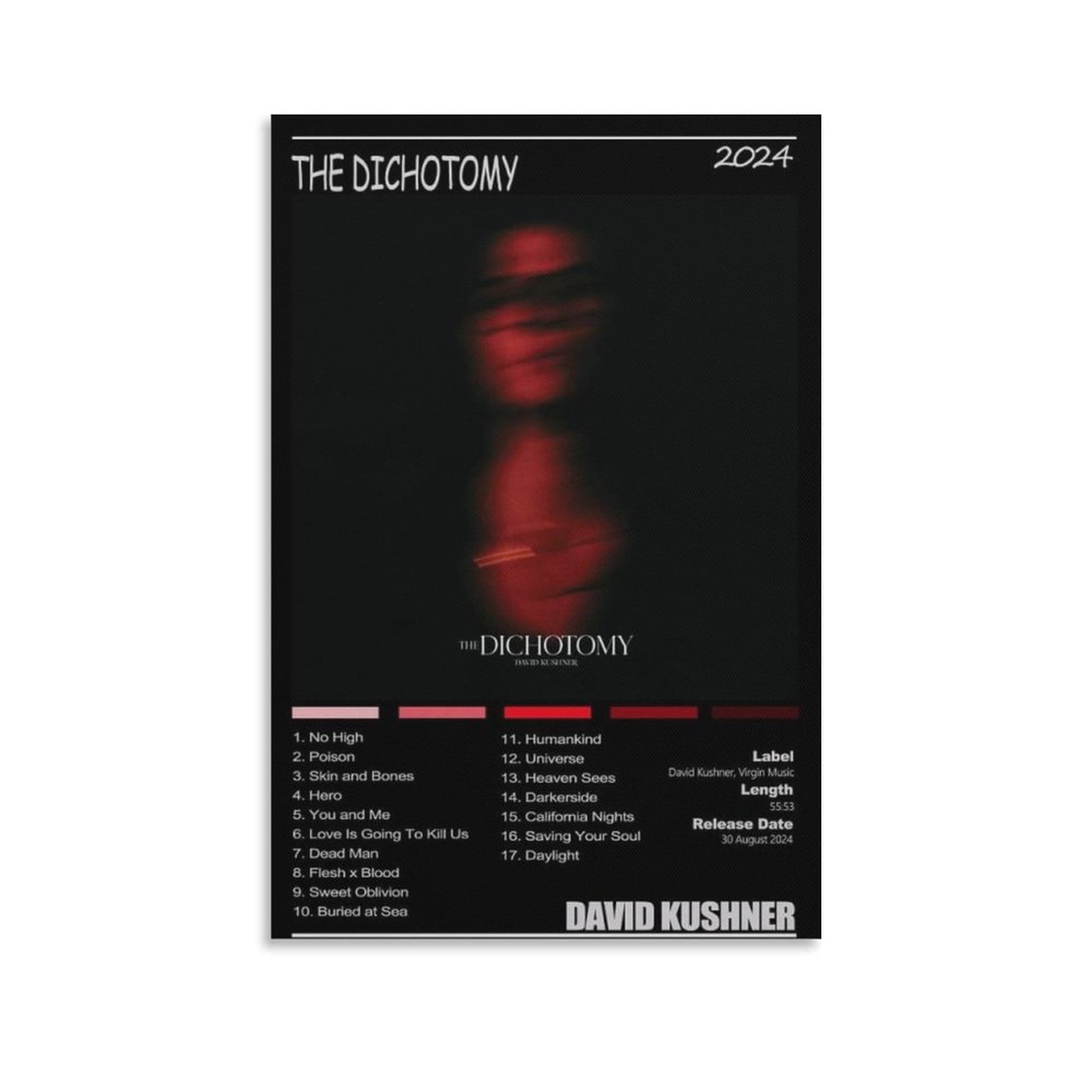 David Kushner Poster Album-The Dichotomy Canvas Posters Canvas Wall Art ...