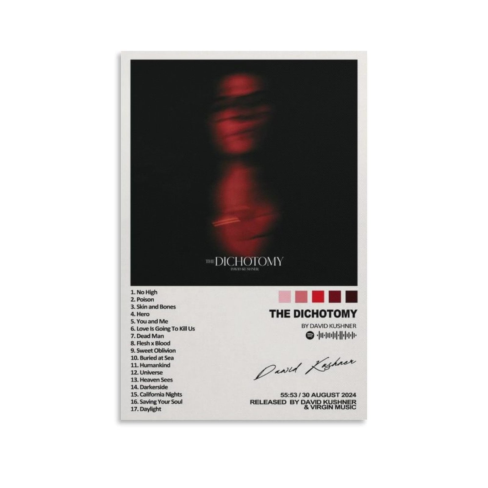 David Kushner Poster Album-The Dichotomy Poster Posters Wall Art ...