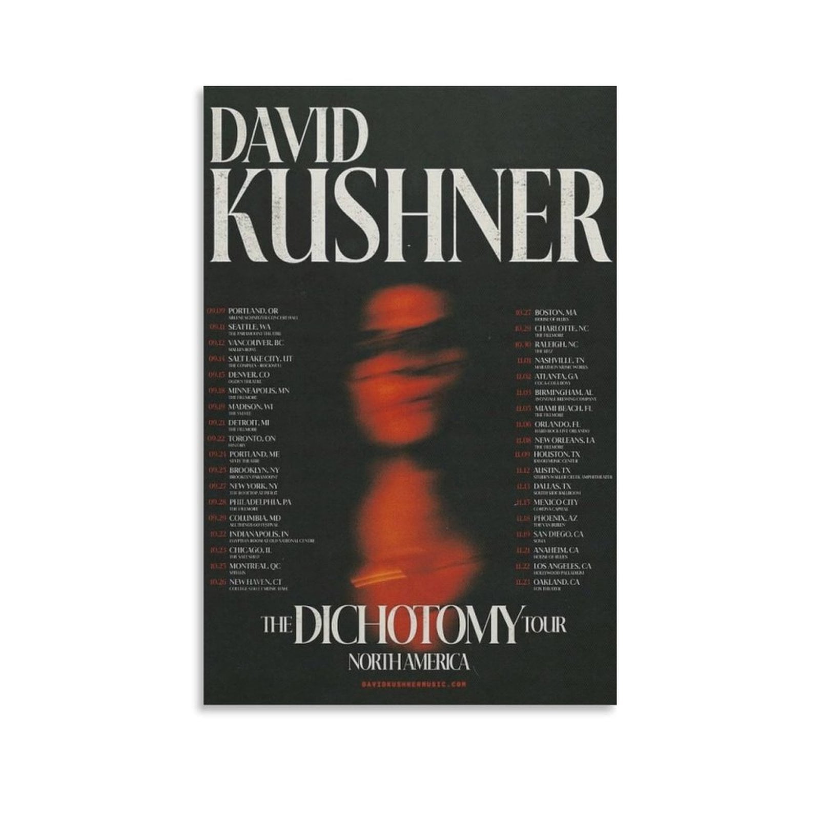 David Kushner Poster The Dichotomy Tour Canvas Poster Painting On ...