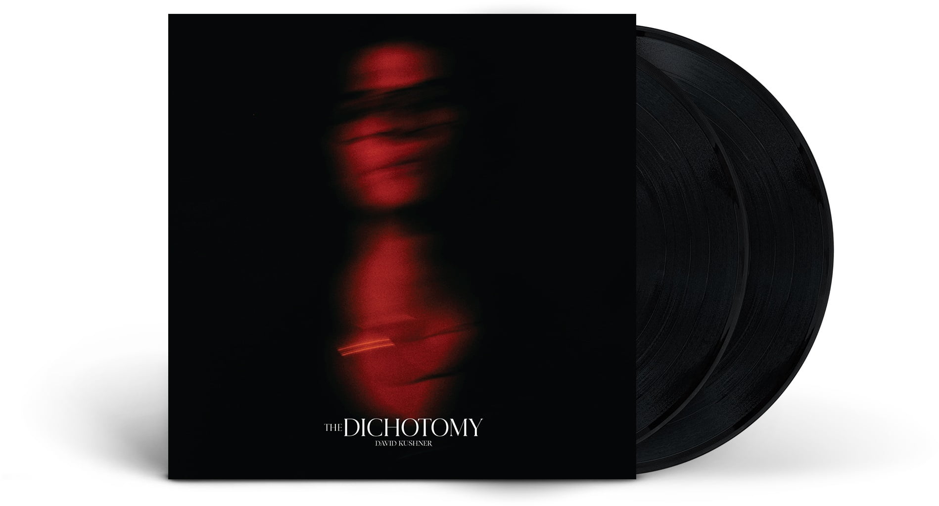 David Kushner - The Dichotomy - Music & Performance - Vinyl - Walmart.com