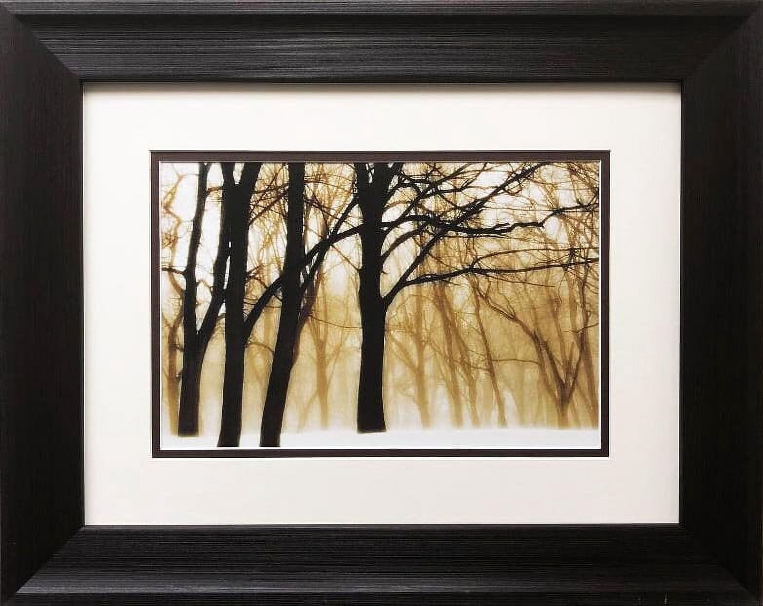 David L. Winston "Past Dreams" NEW Custom Framed ART Generic - Walmart.com