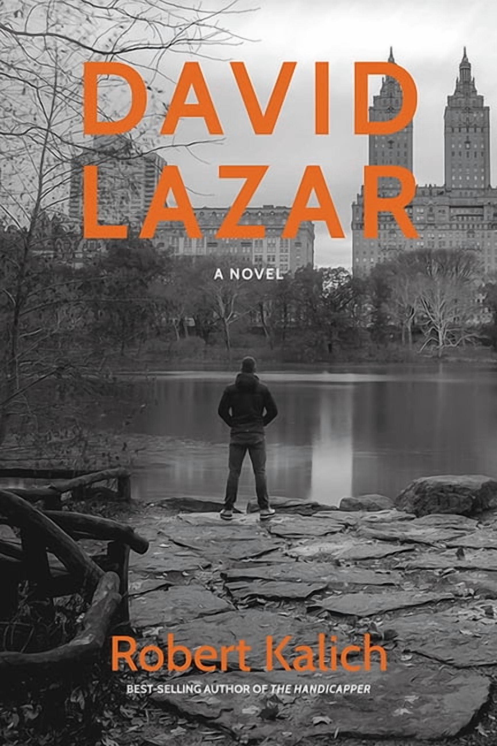 David Lazar (Hardcover) - Walmart.com