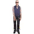 David Lee Roth (Tattoos) Mini Size Cutout. Standee. - Walmart.com