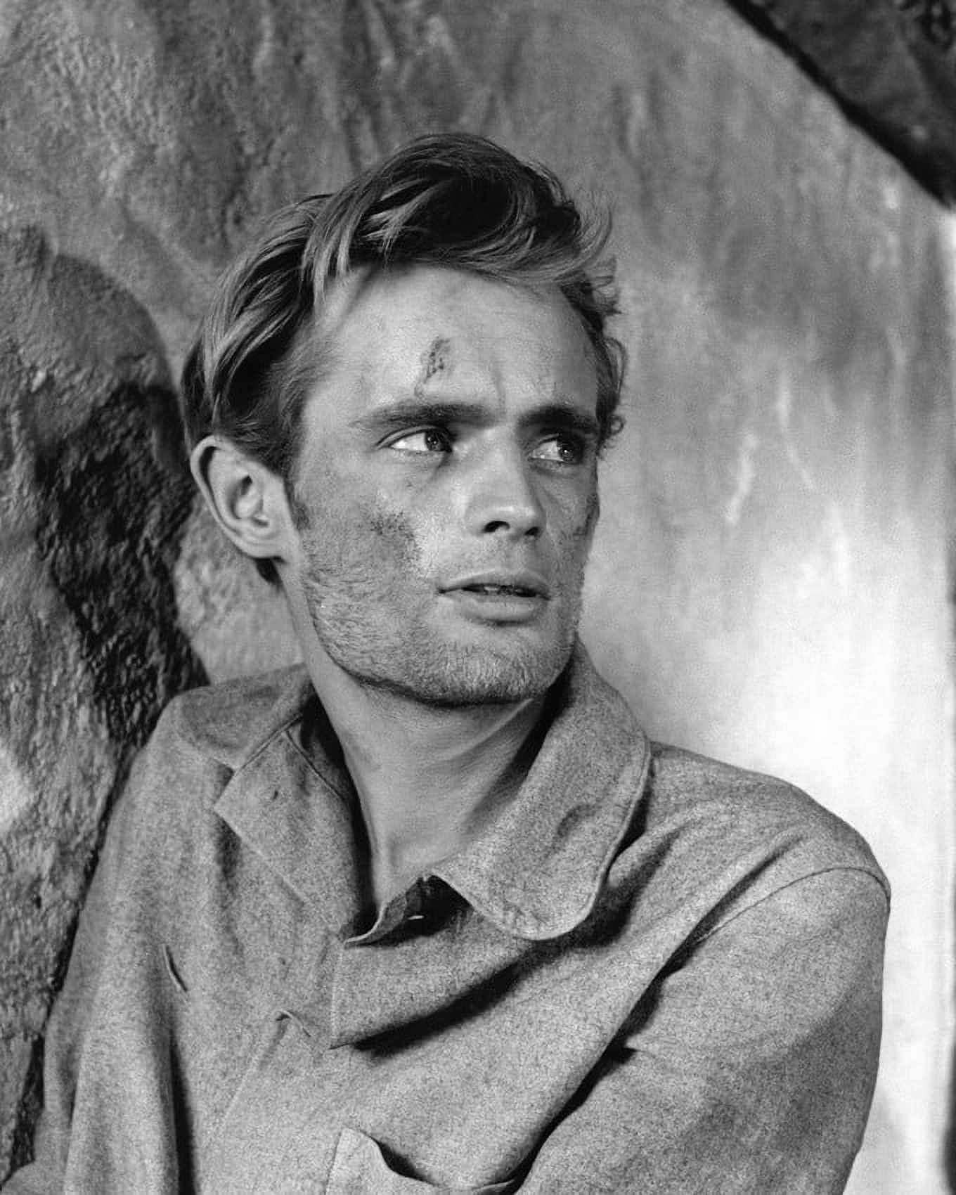David Mccallum Young Portrait With Slight Beard 1950's 24x36 Classic ...