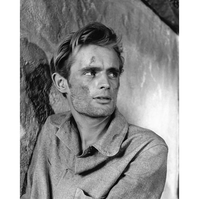 David Mccallum Young Portrait With Slight Beard 1950's 24x36 Classic ...