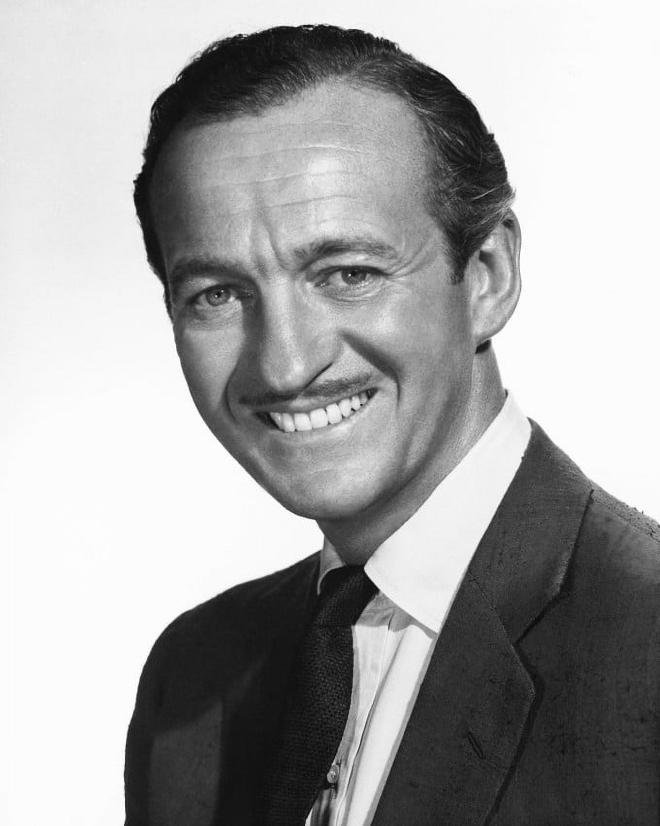 David Niven Suave Studio Portrait 24x36 Classic Hollywood Poster ...