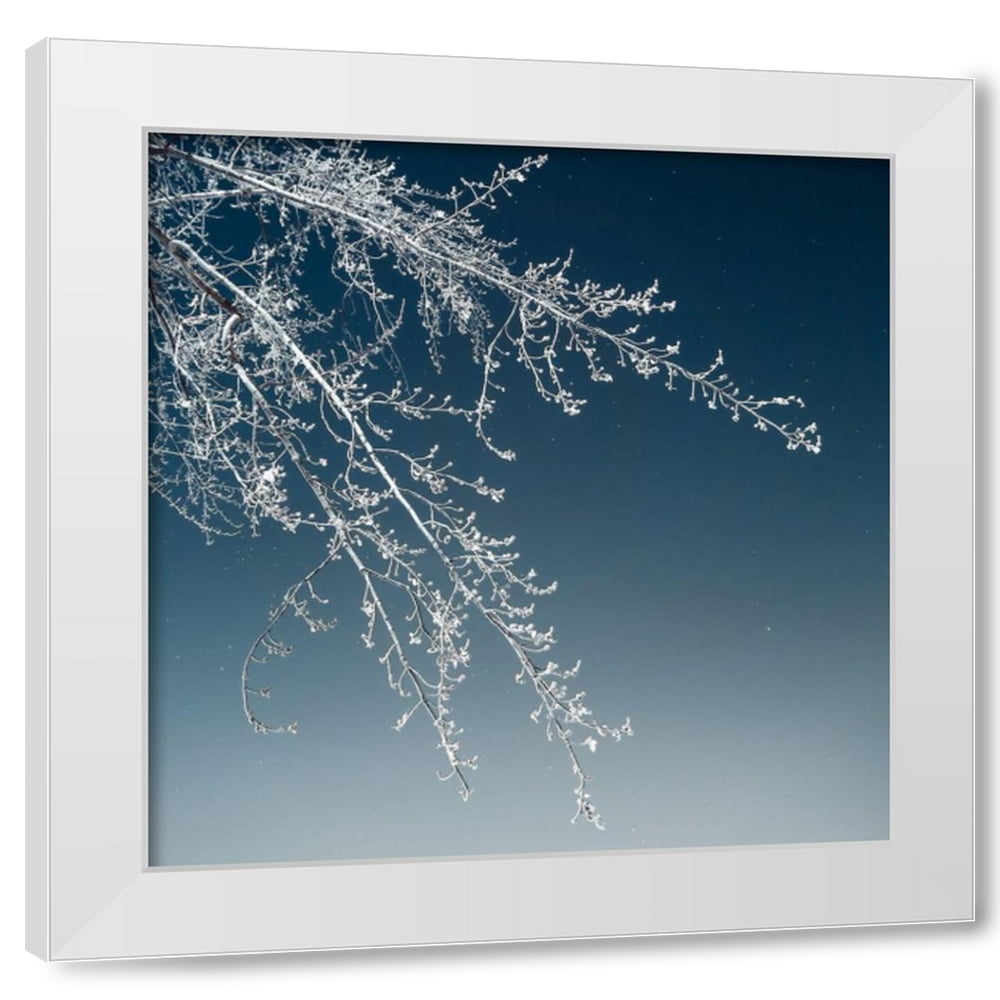 David Pollard 4x14 White Modern Wood Framed Wall Art Titled - Tree ...