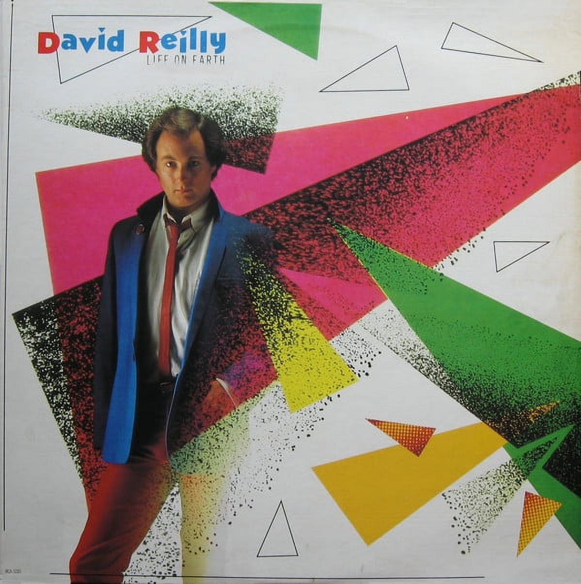 David Reilly ‎– Life On Earth (Vinyl) - Walmart.com