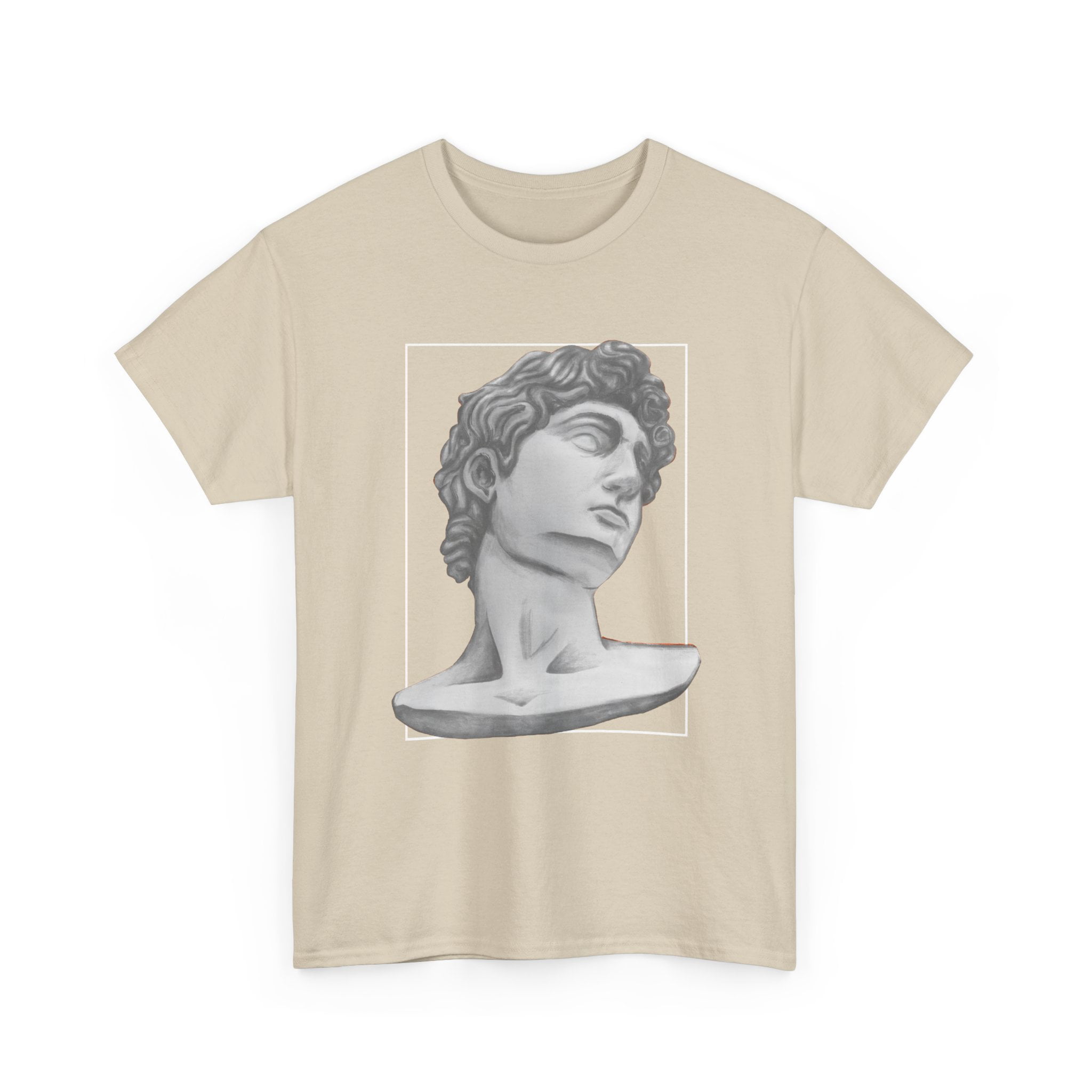 David Statue Inspired T-Shirt | Renaissance Aesthetic Art Unisex Tee ...