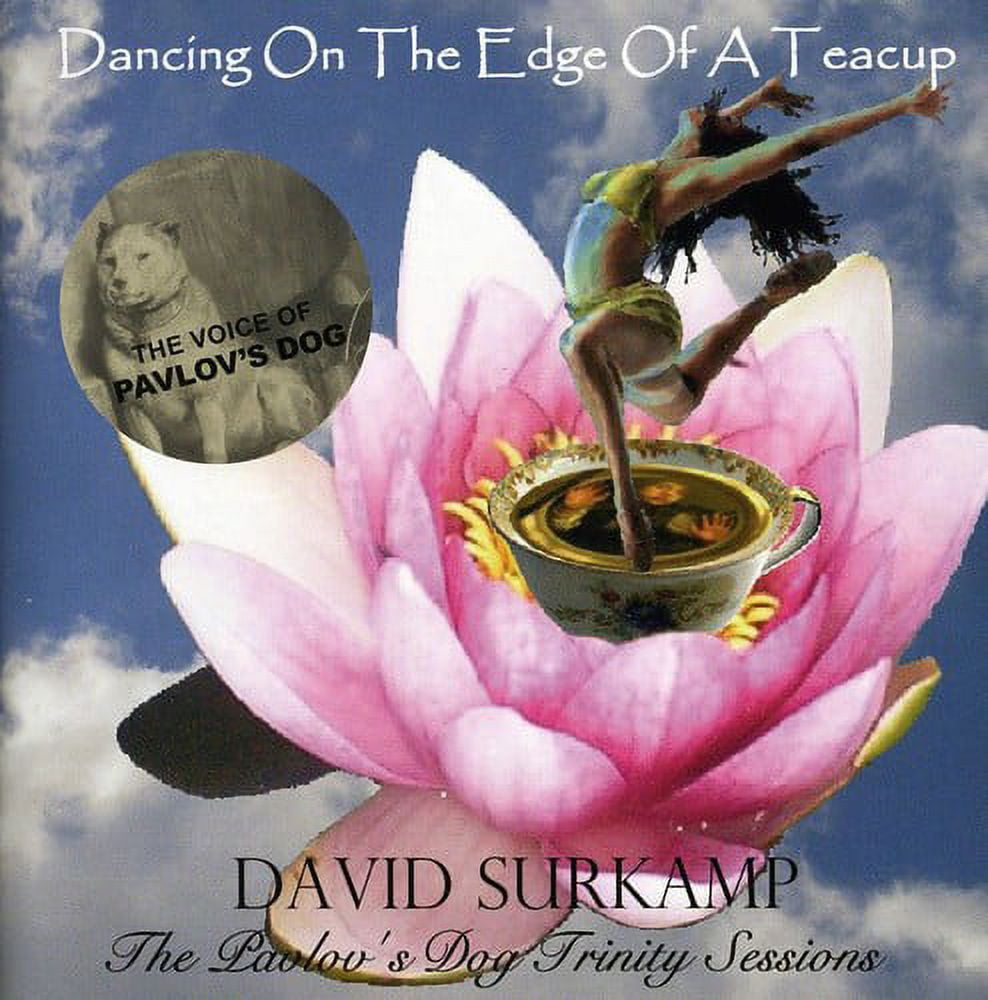 David Surkamp - Dancing on the Edge of a Teacup - Rock - CD - Walmart.com