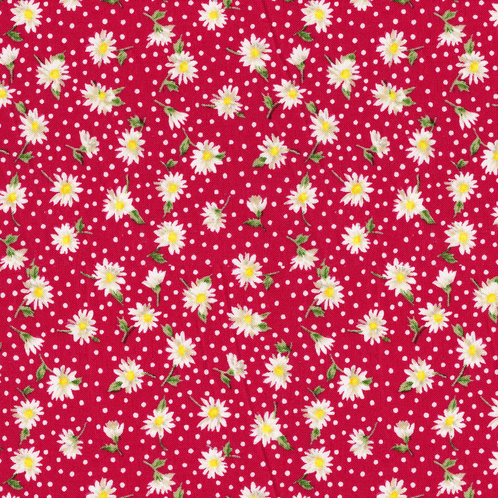 1 Yard 100% Cotton Daisies, Red, 44" Wide for Quilting & Sewing by ...