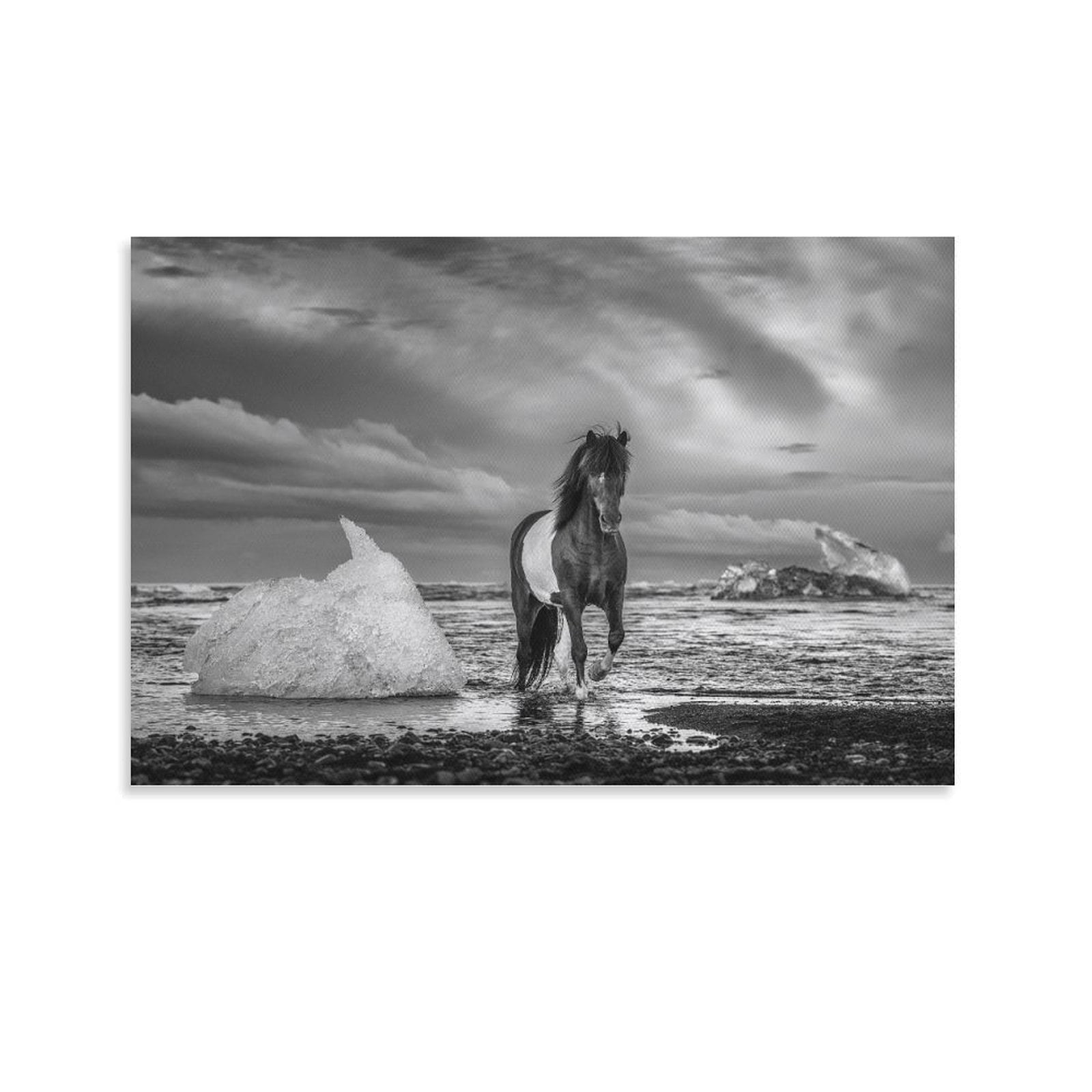 David Yarrow-65 Degrees North⁣-wildlife Black And White Art Poster ...