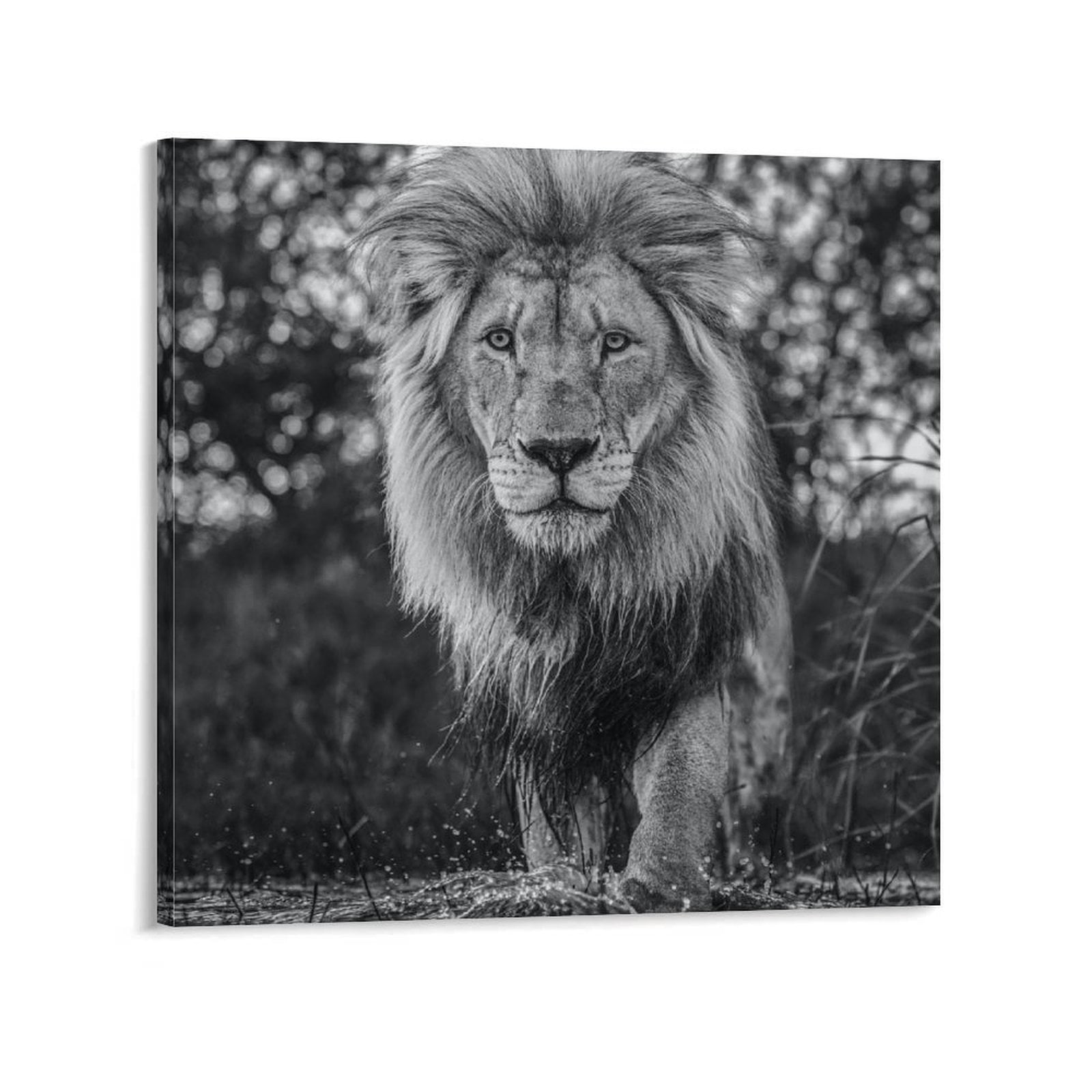 David Yarrow-Basic Instinct-wildlife Black And White Art Poster Posters ...