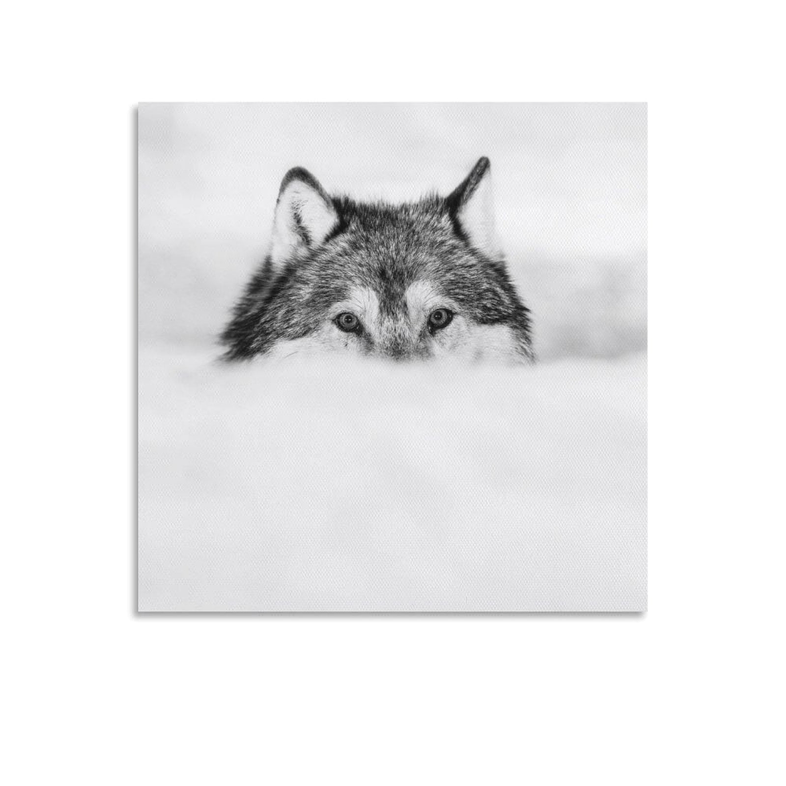 David Yarrow-Encroachment-wildlife Black And White Art Poster Room ...