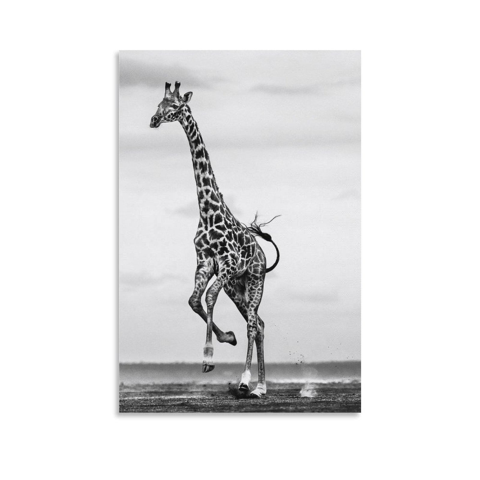 David Yarrow-Hoof It-wildlife Black And White Art Poster Home Decor ...