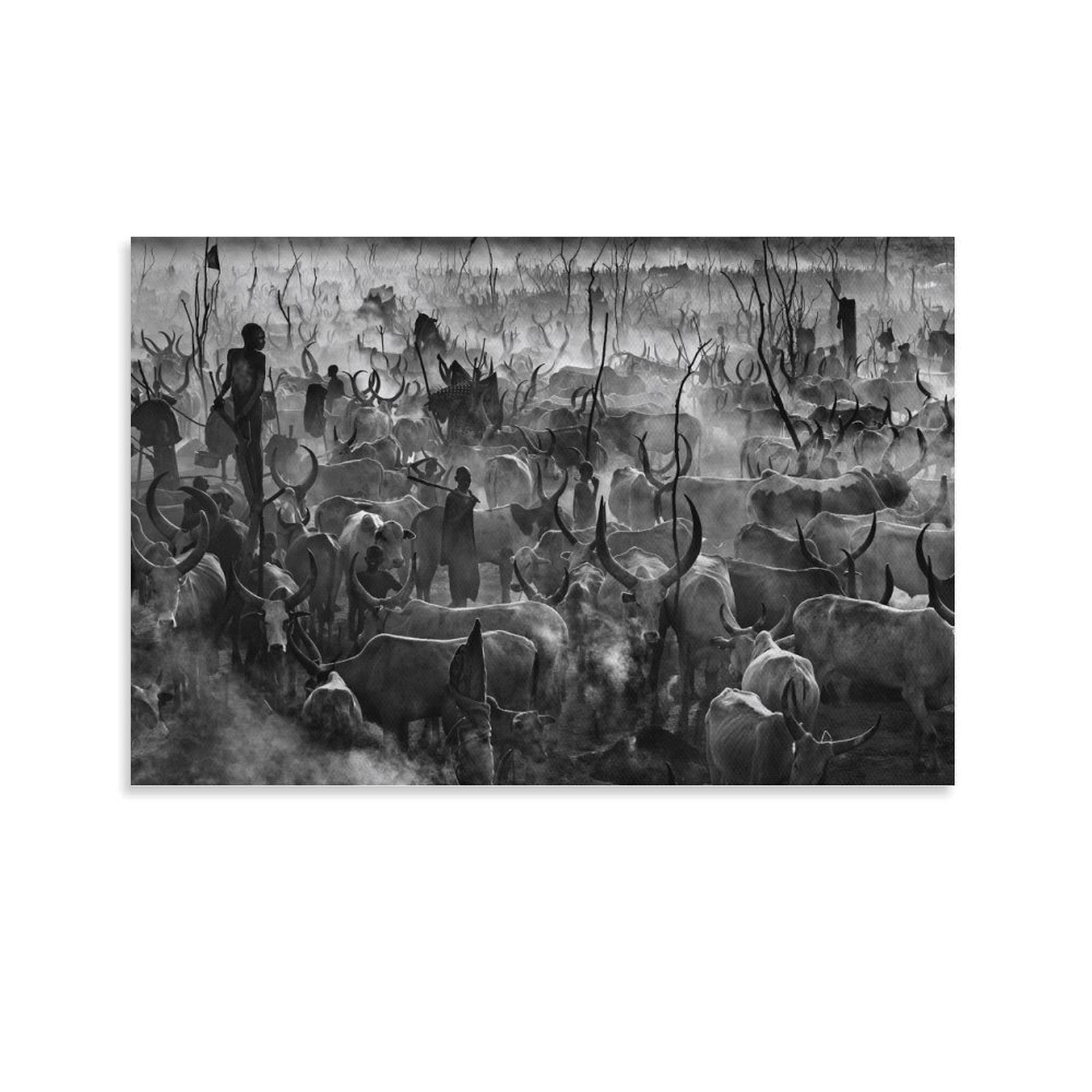 David Yarrow-Mankind-wildlife Black And White Art Poster Room Aesthetic ...