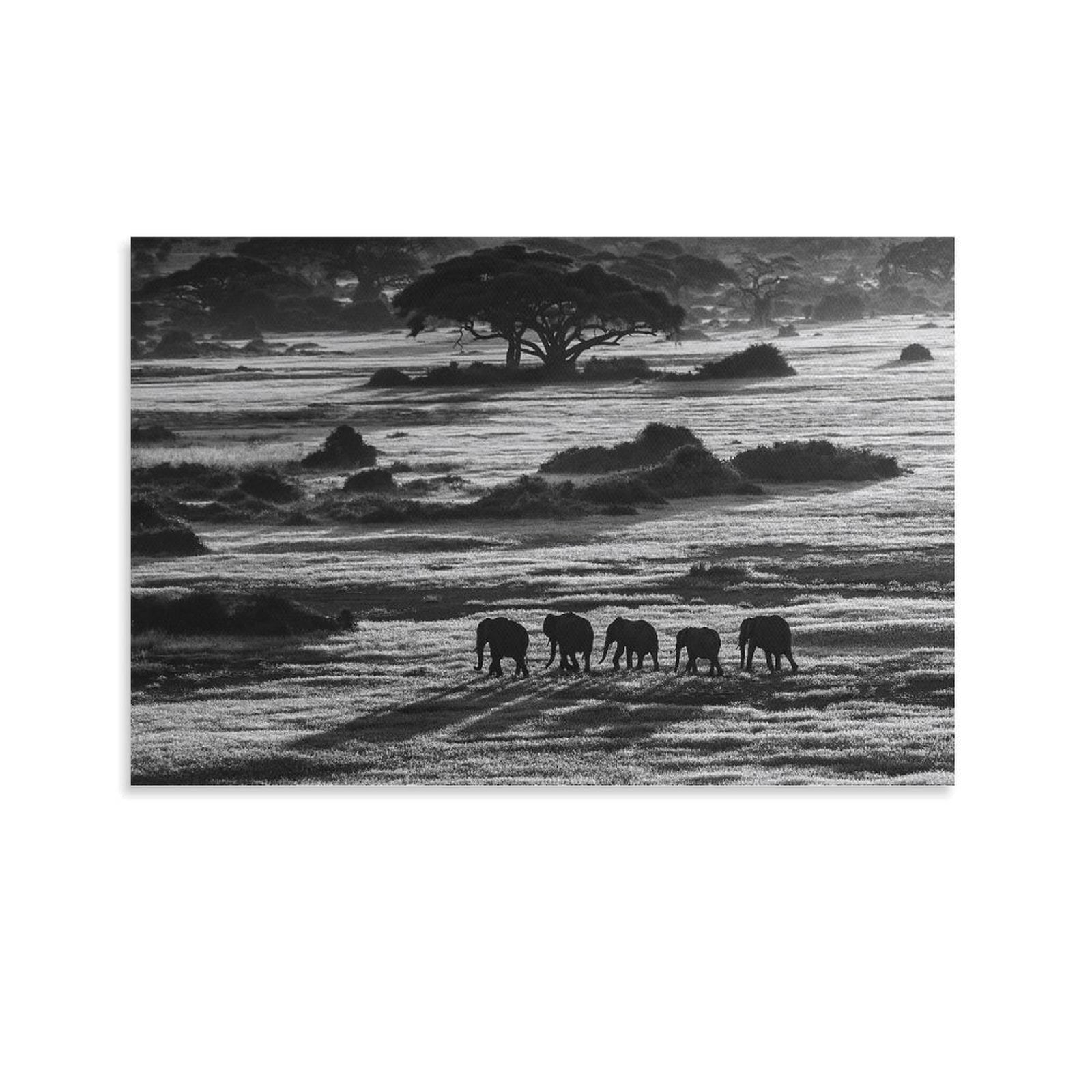 David Yarrow-Nature Is A Gift-wildlife Black And White Art Poster ...