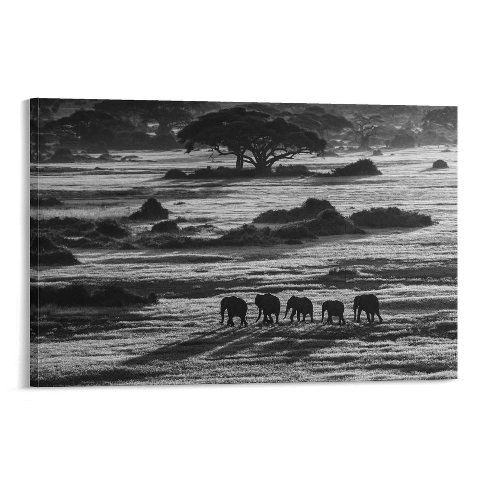 David Yarrow-Nature Is A Gift-wildlife Black And White Art Poster Print ...