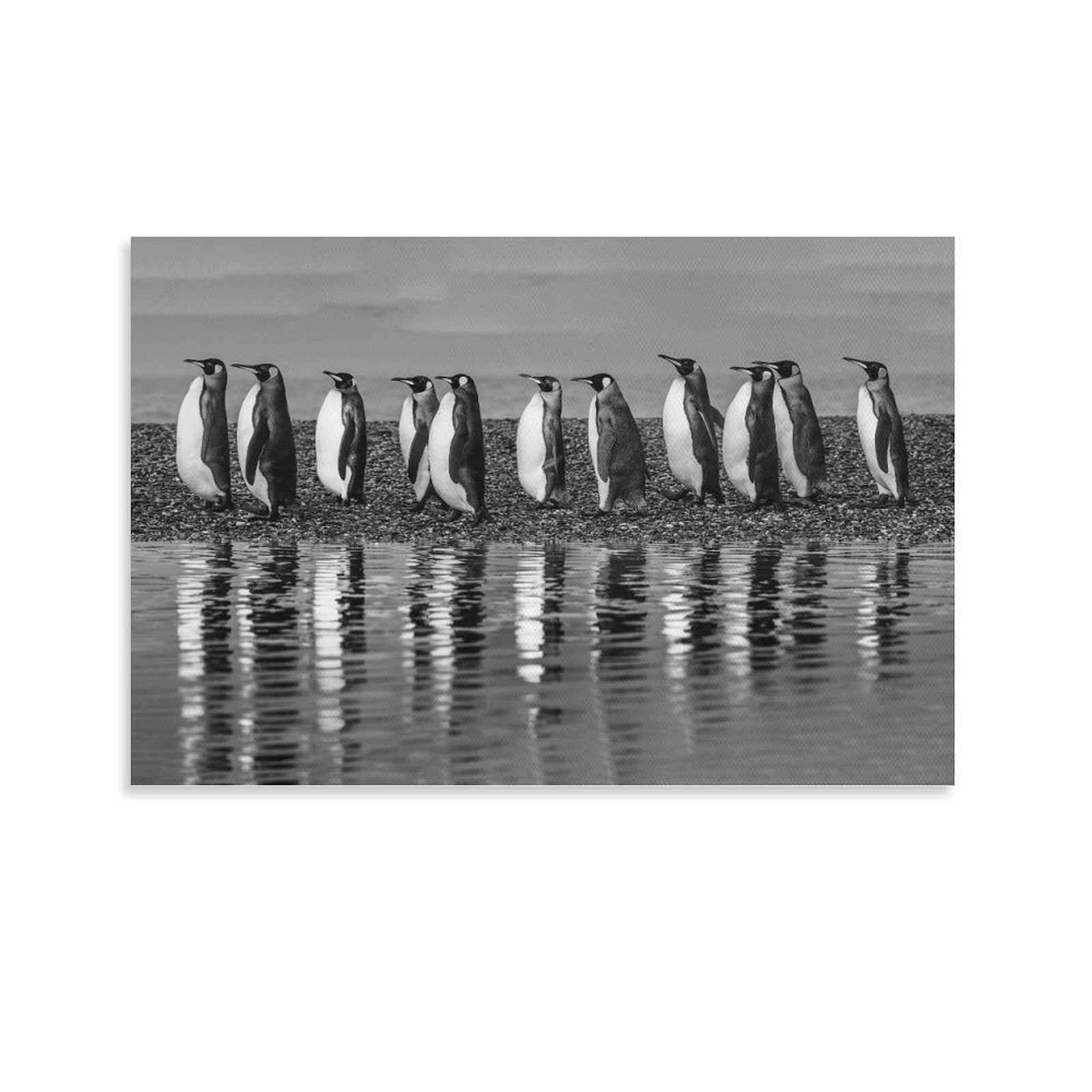 David Yarrow-Ocean's Eleven-wildlife Black And White Art Poster Canvas ...