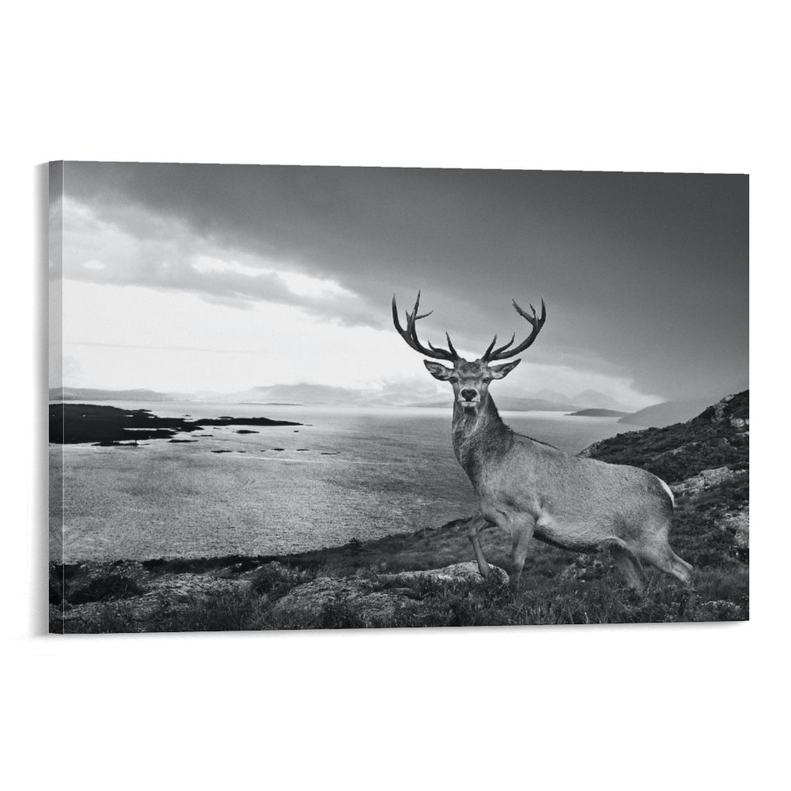 David Yarrow-Over-The-Sea-to-Skye-wildlife Black And White Art Poster ...
