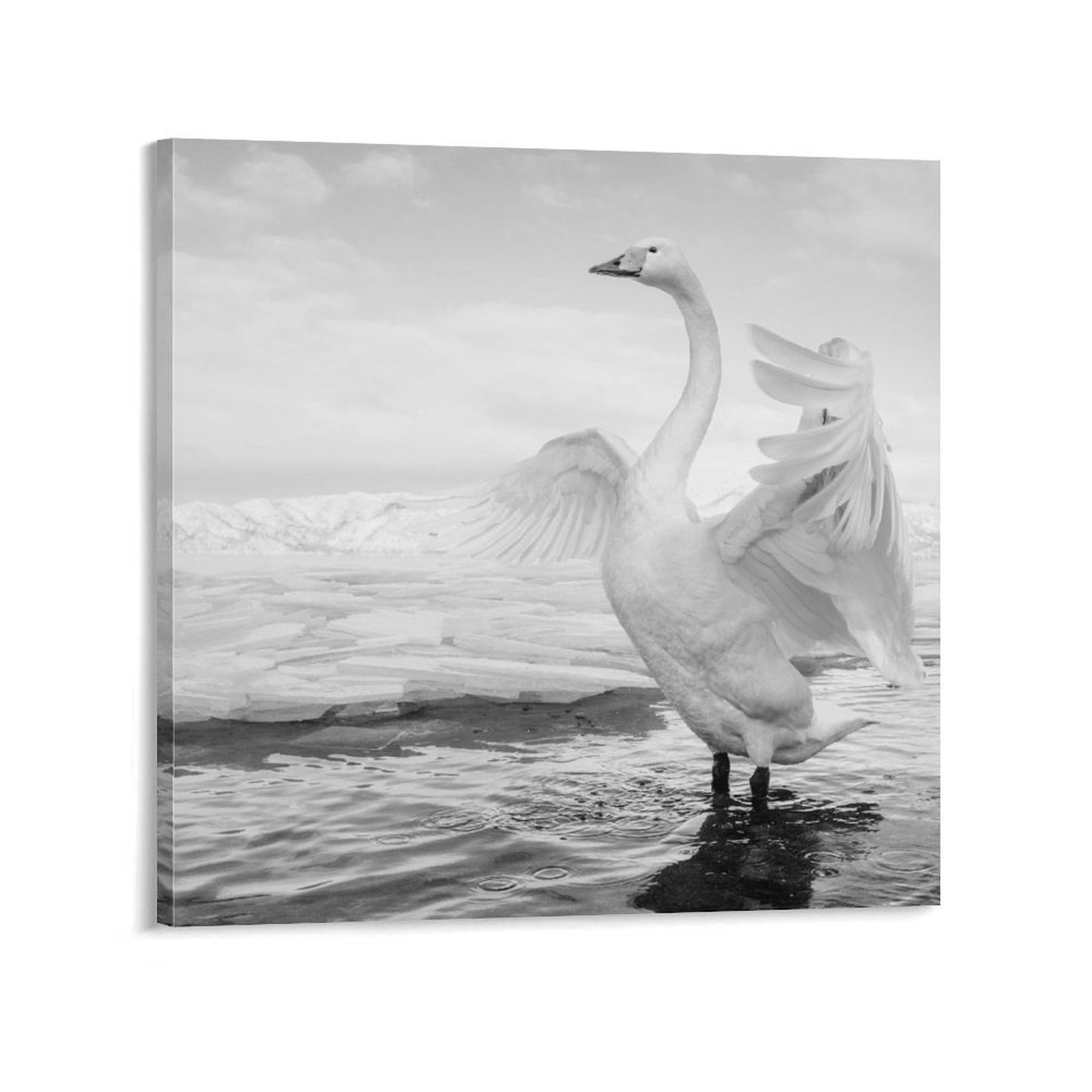 David Yarrow-Simple Pleasures Winged Wonders-wildlife Black And White ...