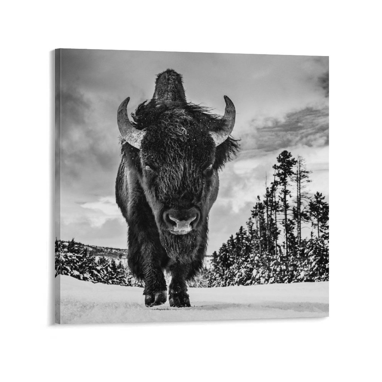 David Yarrow-The Bison on Main-wildlife Black And White Art Poster ...