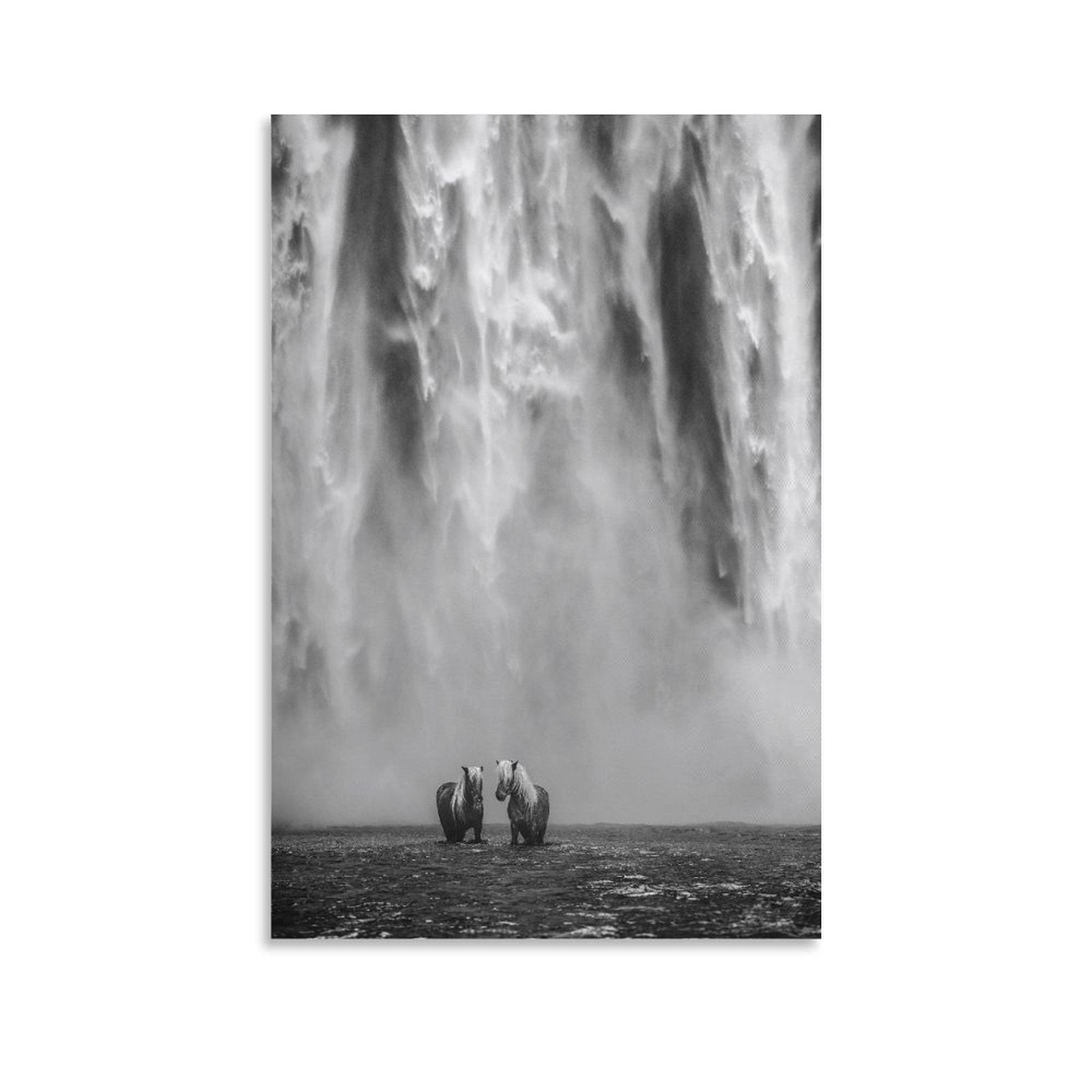 David Yarrow-The Dream-wildlife Black And White Art Poster Canvas ...