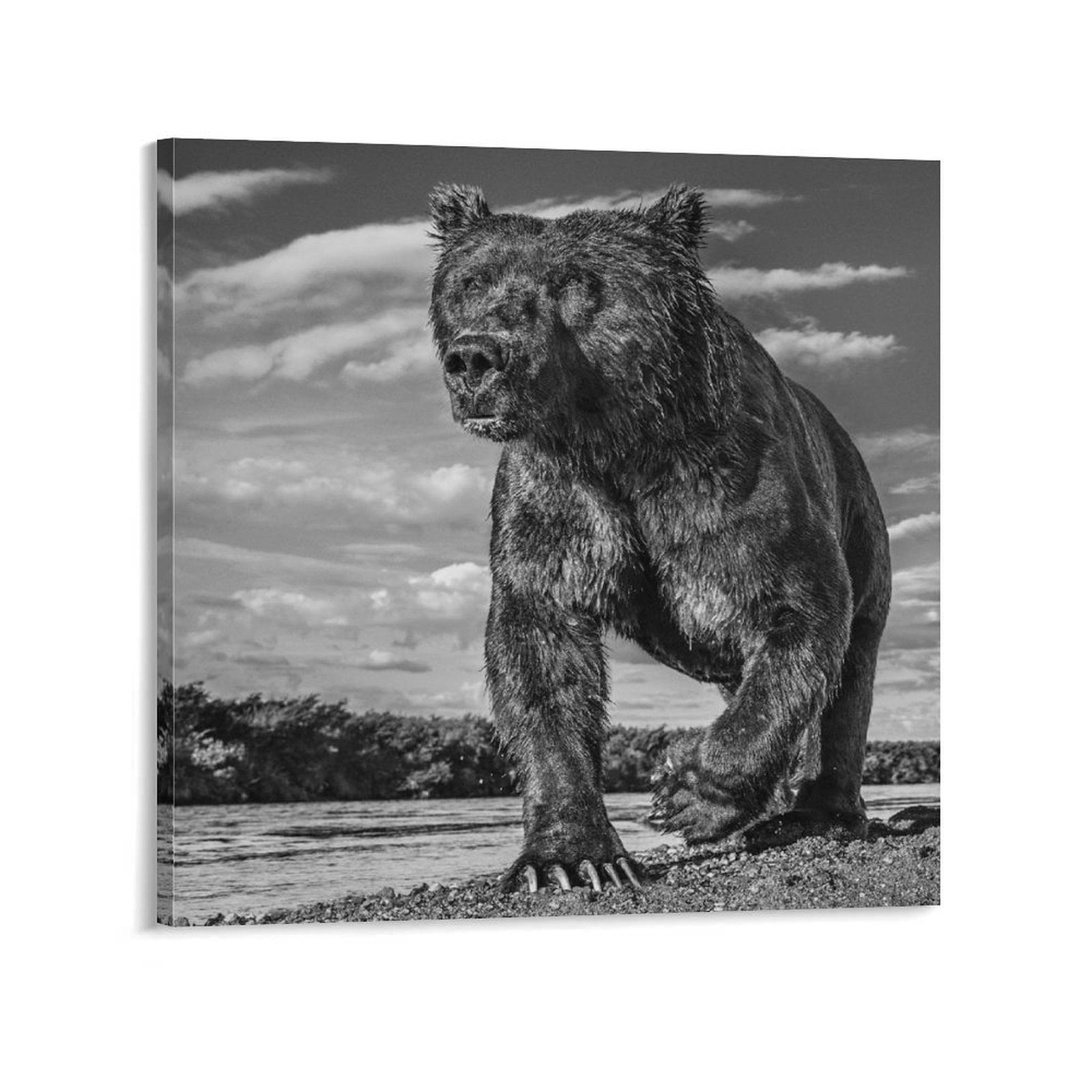 David Yarrow-The Fisher King-wildlife Black And White Art Poster ...