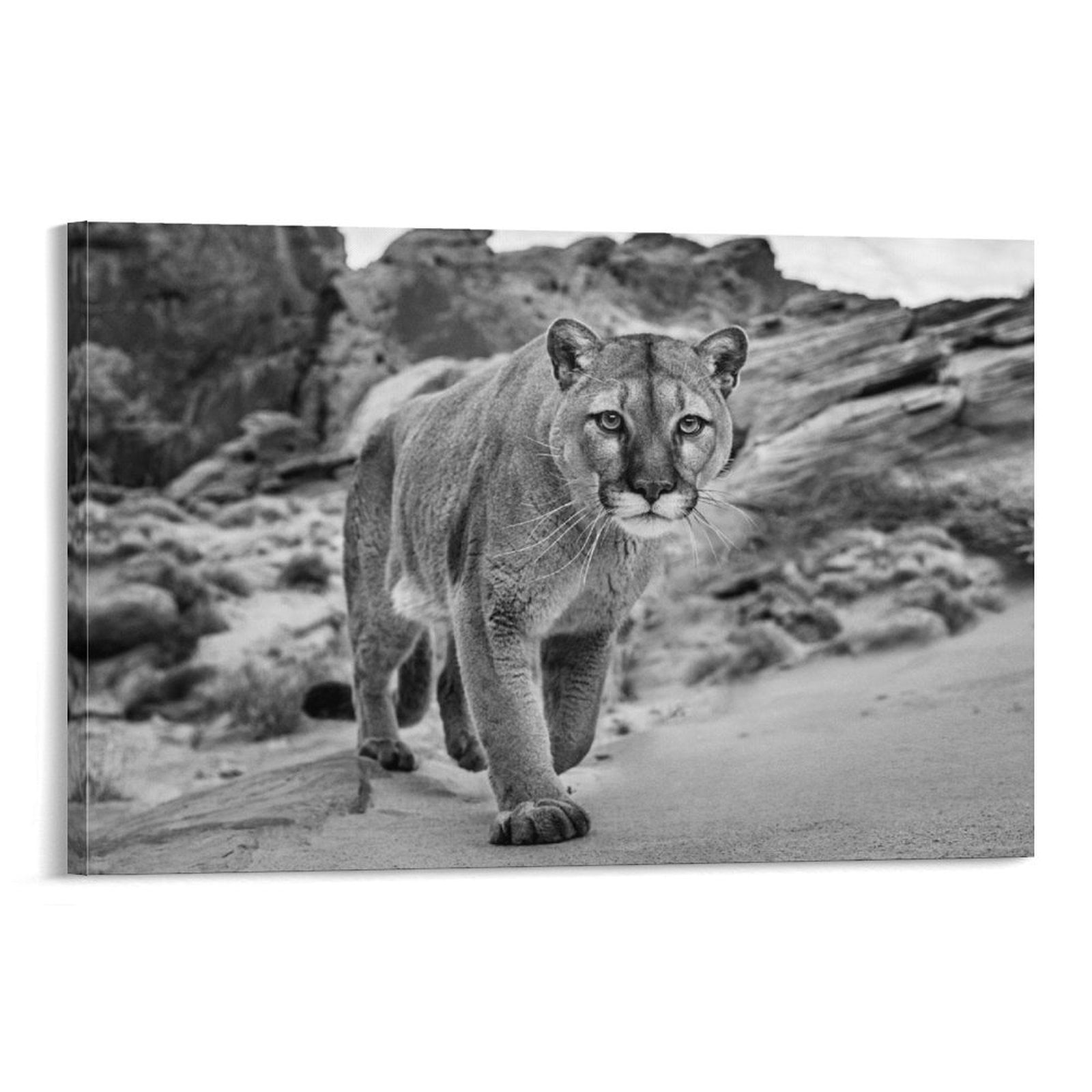 David Yarrow-Valley of Fire-wildlife Black And White Art Poster Art ...
