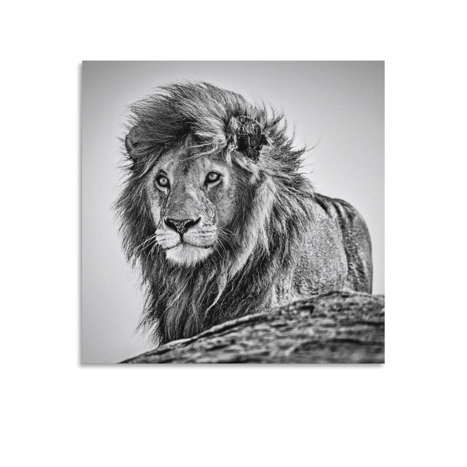 David Yarrow-lion Image (4)-wildlife Black And White Art Poster Canvas ...