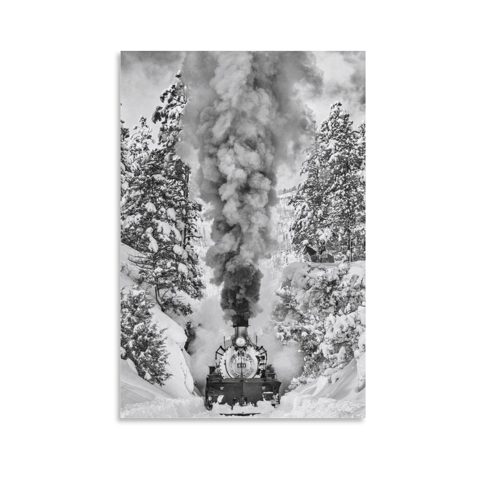 David Yarrow-steam Train-wildlife Black And White Art Poster Posters ...