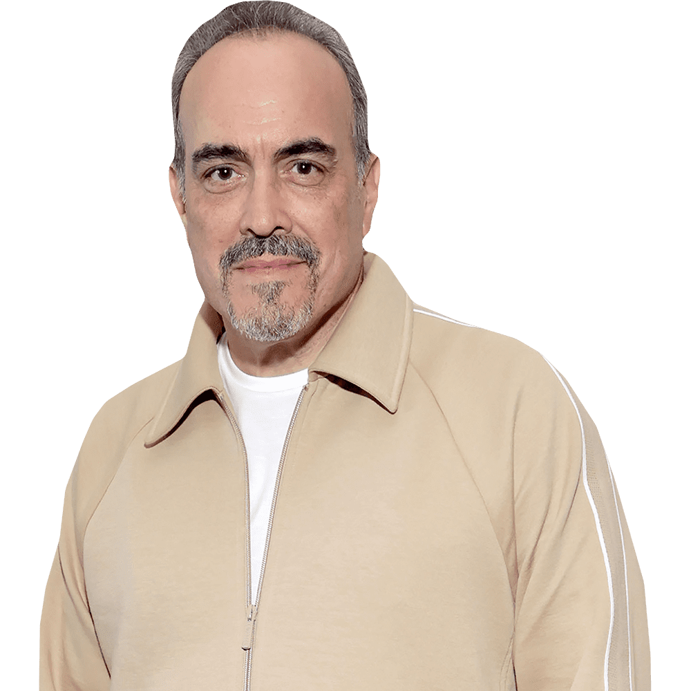 David Zayas (Tracksuit) Half Body Buddy Cutout - Walmart.com