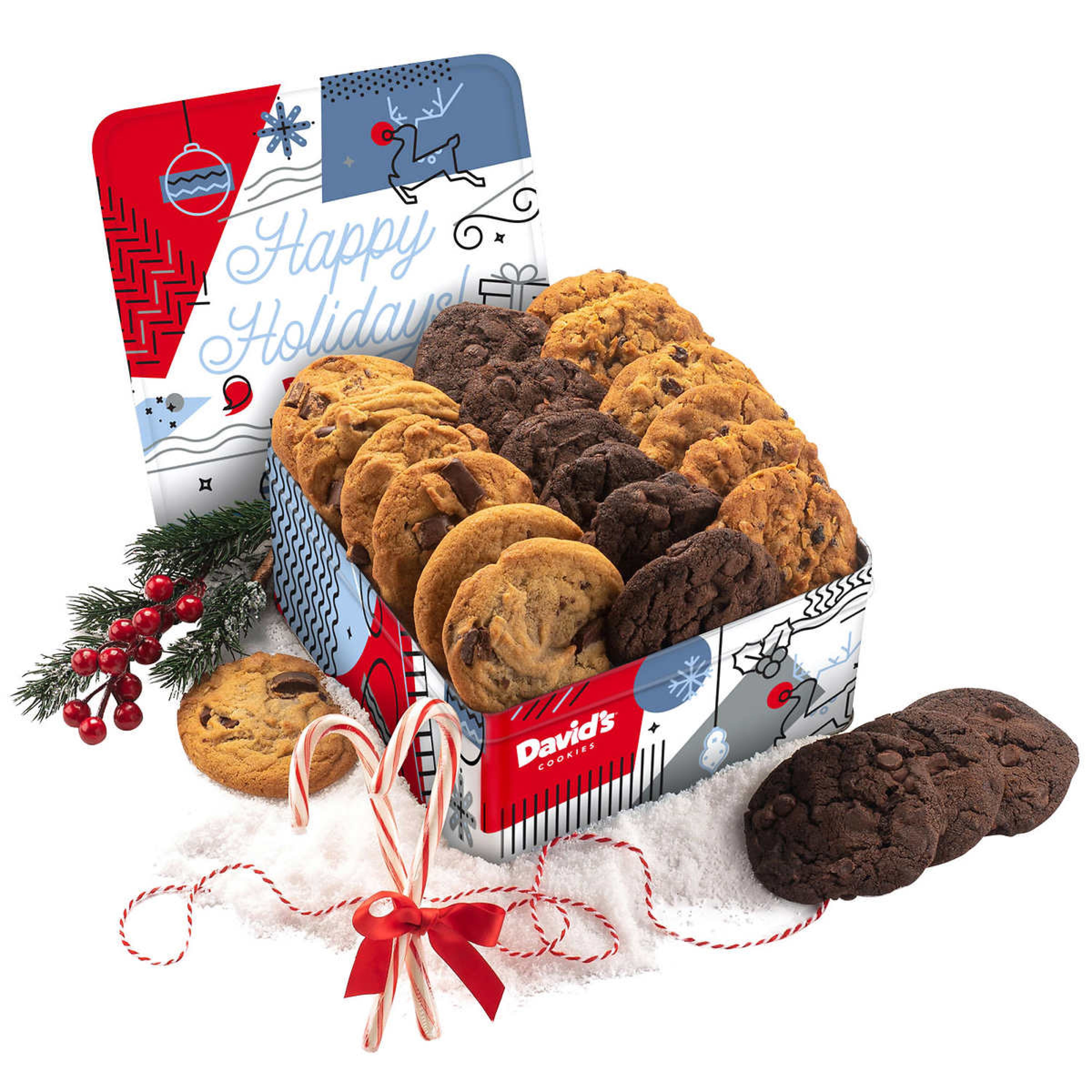 David's Cookies Winter Wonderland Fresh Baked Large Holiday Cookie Tin ...