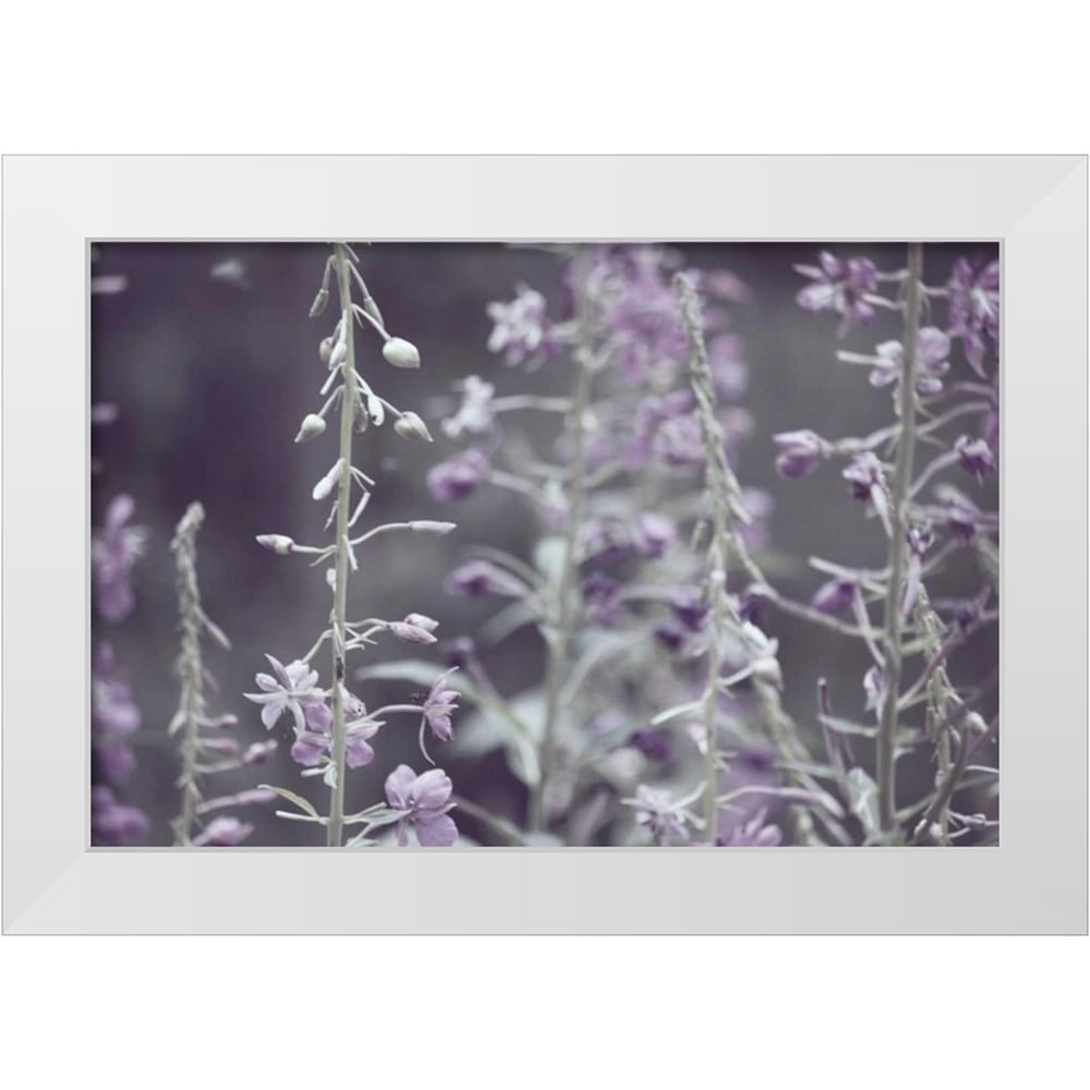 Davis Ashley 18x13 White Modern Wood Framed Museum Art Print Titled ...
