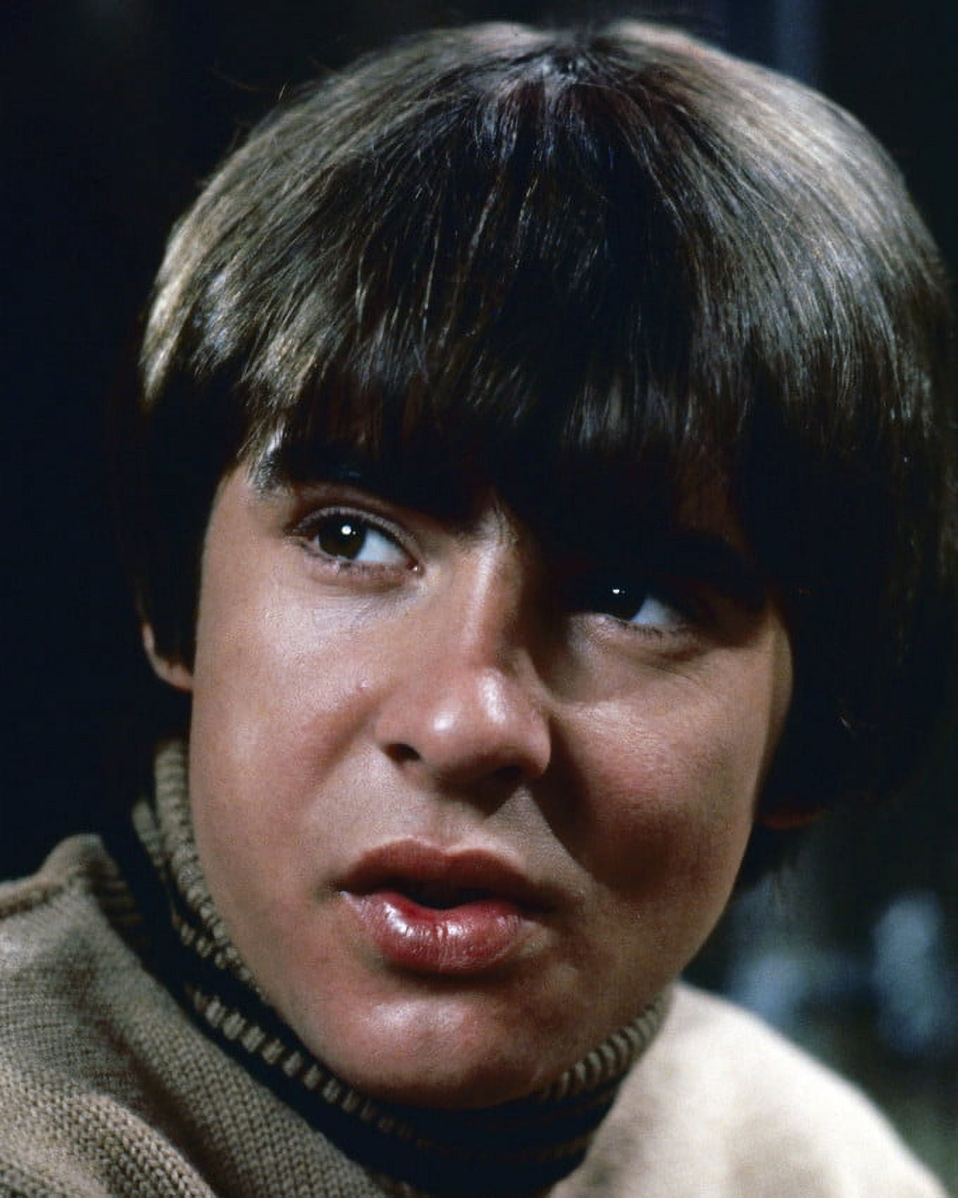 Davy Jones In The Monkees Pouty Shiny Lips Turtle Neck 24X36 Classic ...