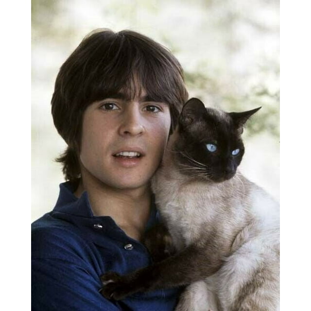 Davy Jones The Monkees star poses with his cat 1960's 8x10 inch photo ...