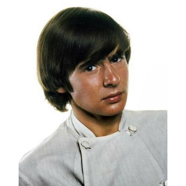 Davy Jones studio portrait in his 1960's heyday 11x17 inch poster ...