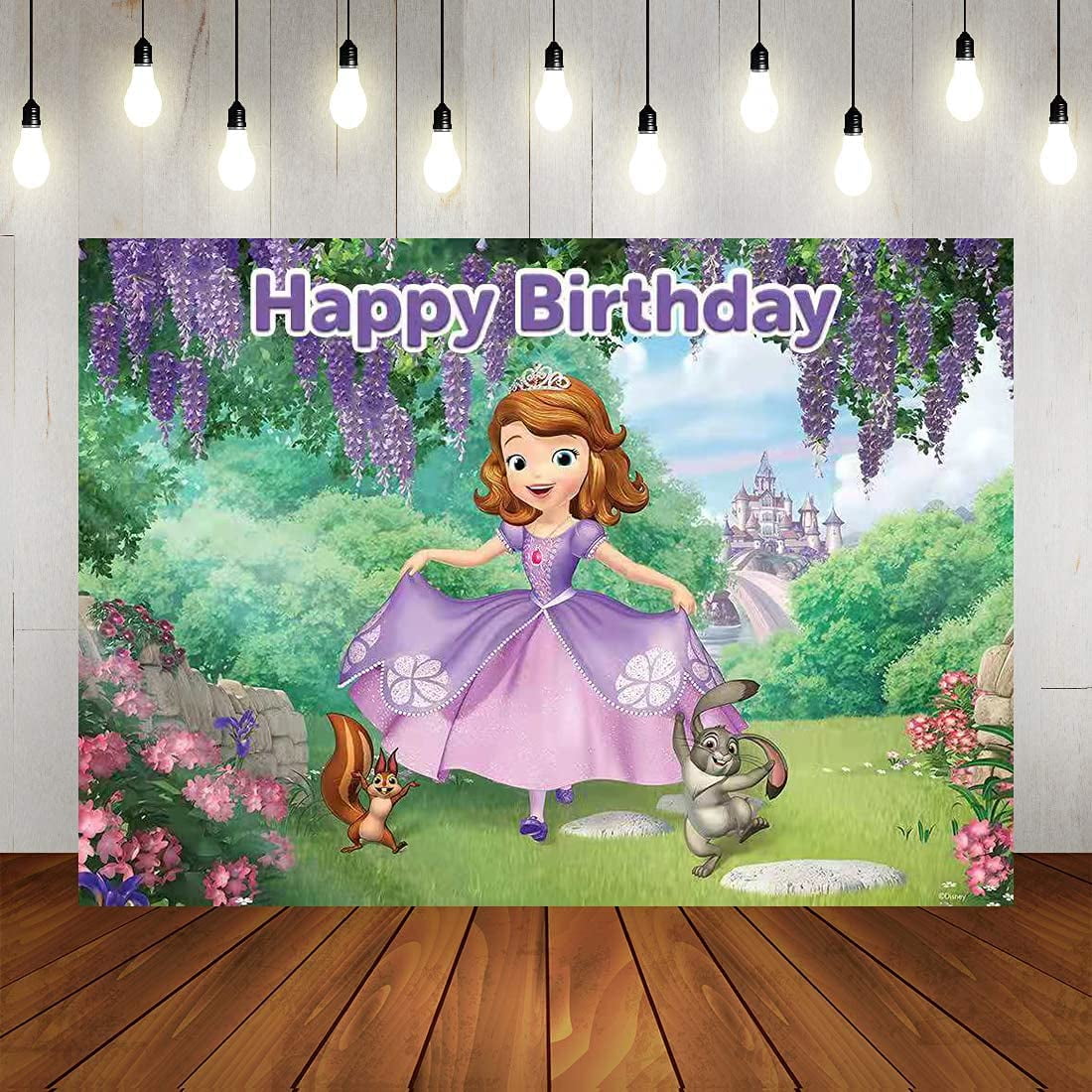 Dawei Sofia The First CI30 Backdrop | Birthday Party Background Supplies | Banner Decorations ...