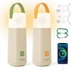 LitezAll - Bug Zapper Lantern, Portable & Rechargeable Mosquito Light ...