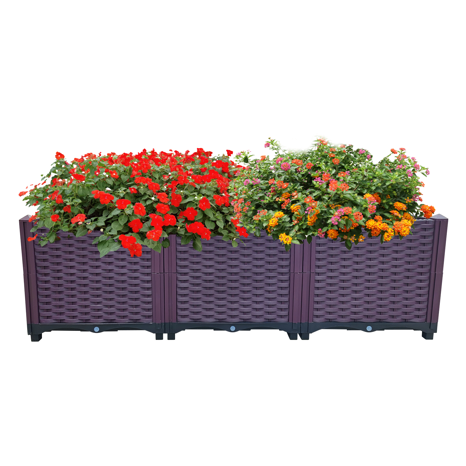 Dawot Planter Boxes Raised Garden Bed,Plastic Planter Care Box Kit ...