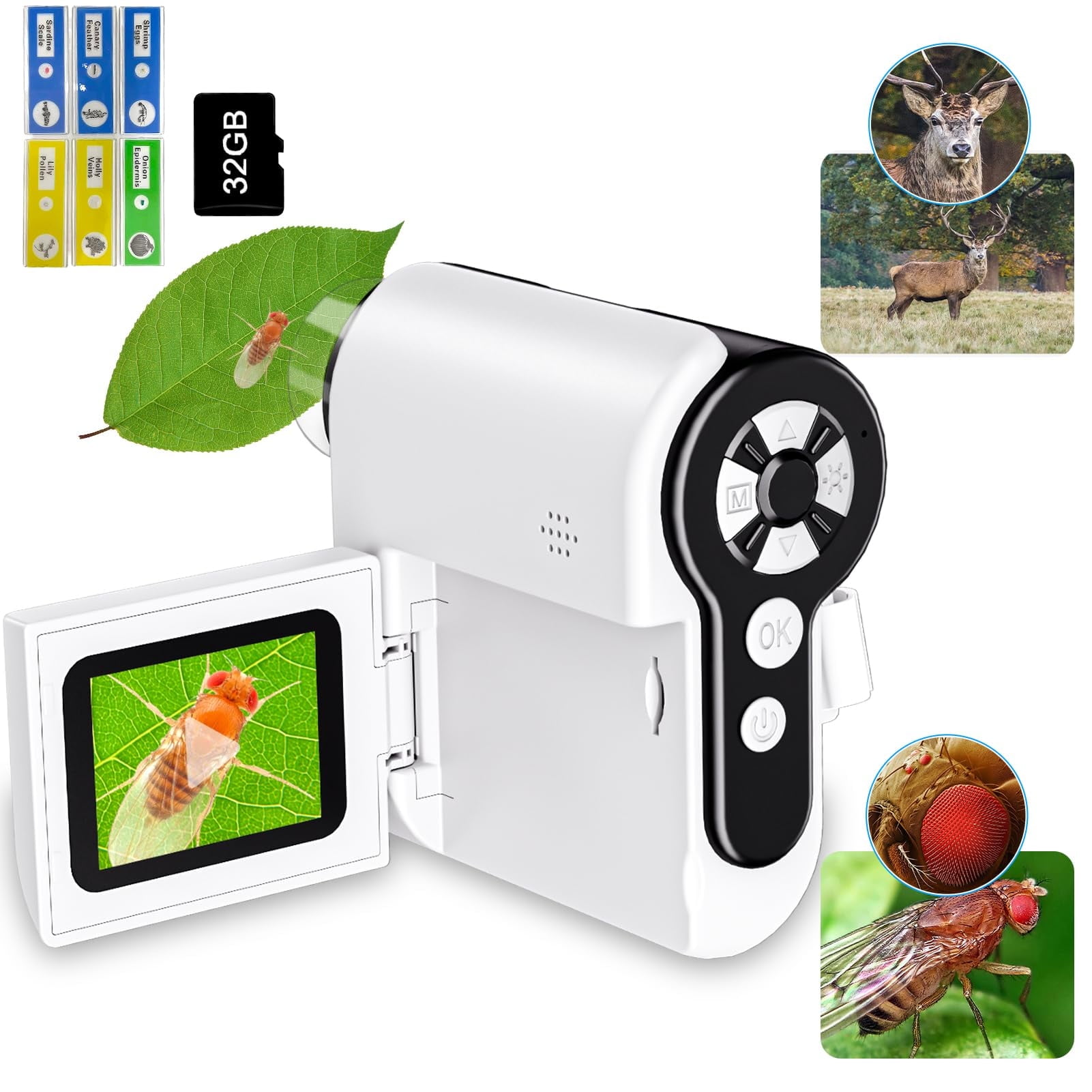 Daxiongmao 1000X Portable Handheld Microscope, Telescope and Microscope ...