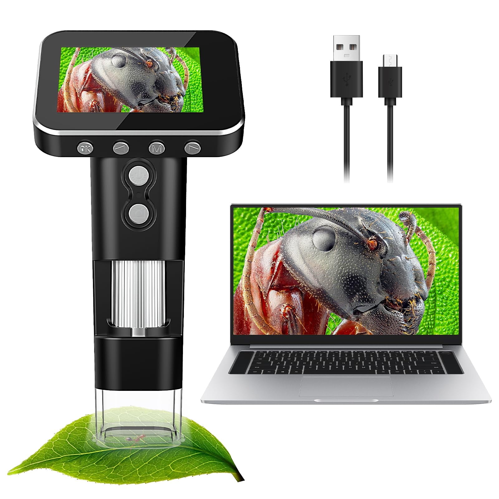 Daxiongmao Portable Handheld Microscope - 2.4" LCD Screen 1000X Pocket ...