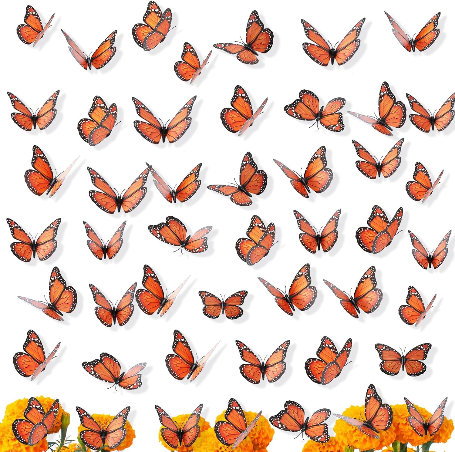 Monarch Butterfly Day