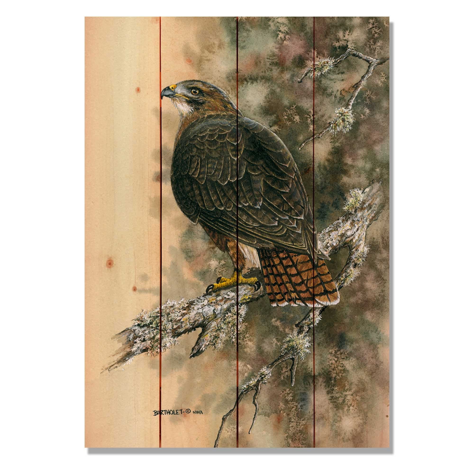 Wile E. Wood Bartholet's Red Tailed Hawk Wood Wall Art, Tan - Walmart.com