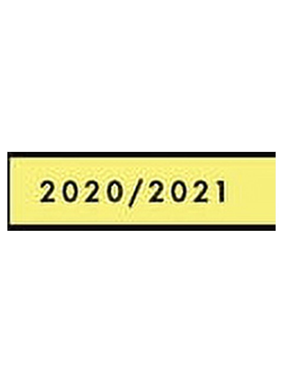 Day Planner 2020-2021 Large: 8.5" x 11" 2020/2021 Daily Planner ...