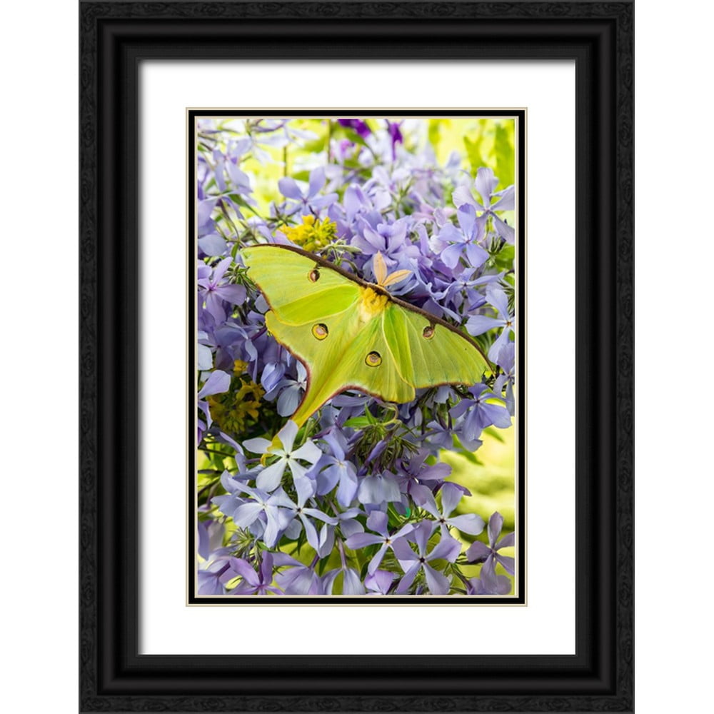 Day, Richard and Susan 11x14 Black Ornate Wood Framed with Double ...