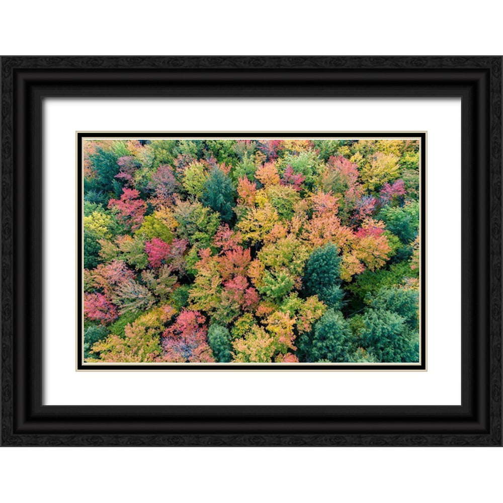 Day, Richard and Susan 14x11 Black Ornate Wood Framed with Double ...