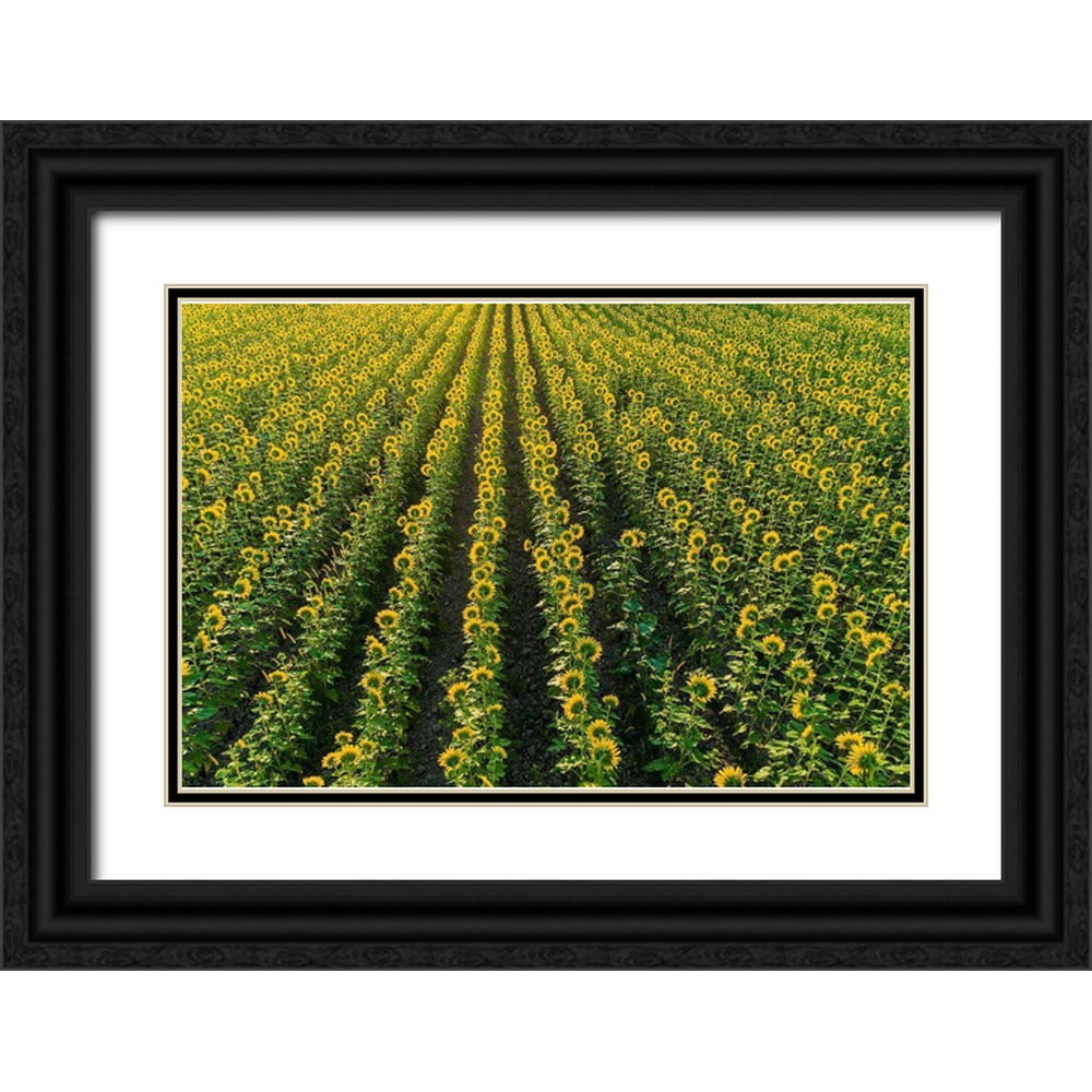 Day, Richard and Susan 14x11 Black Ornate Wood Framed with Double ...